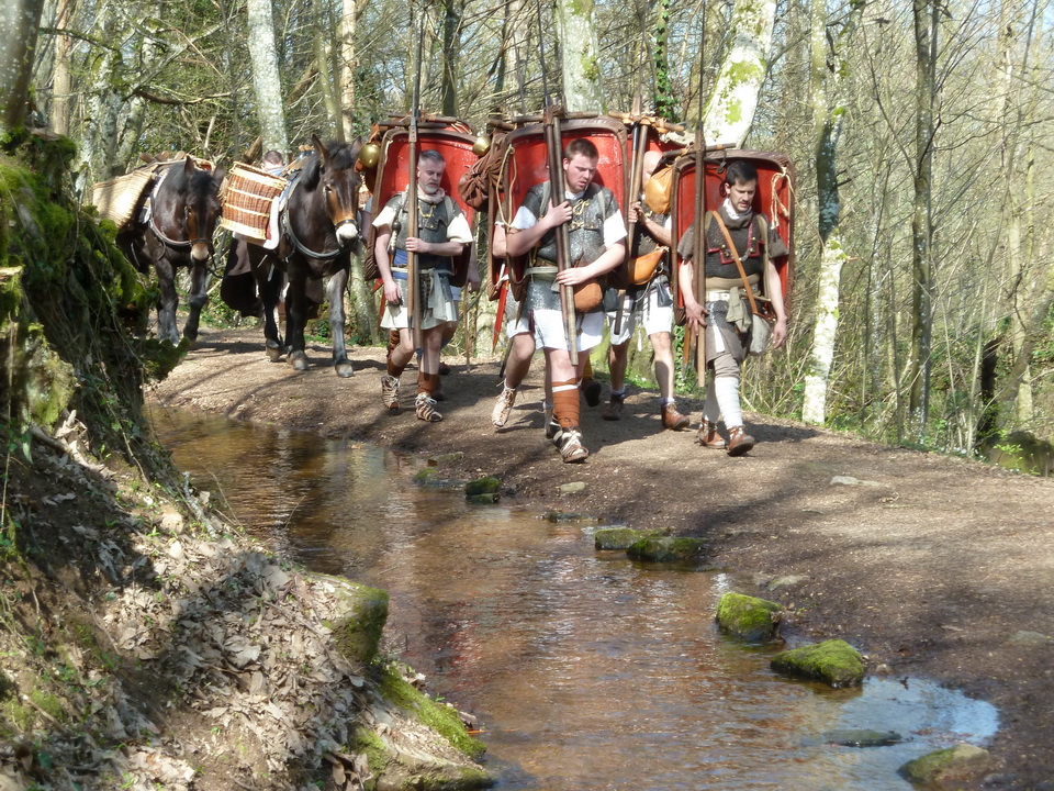 Muli mariani et muli - Légion VIII Augusta